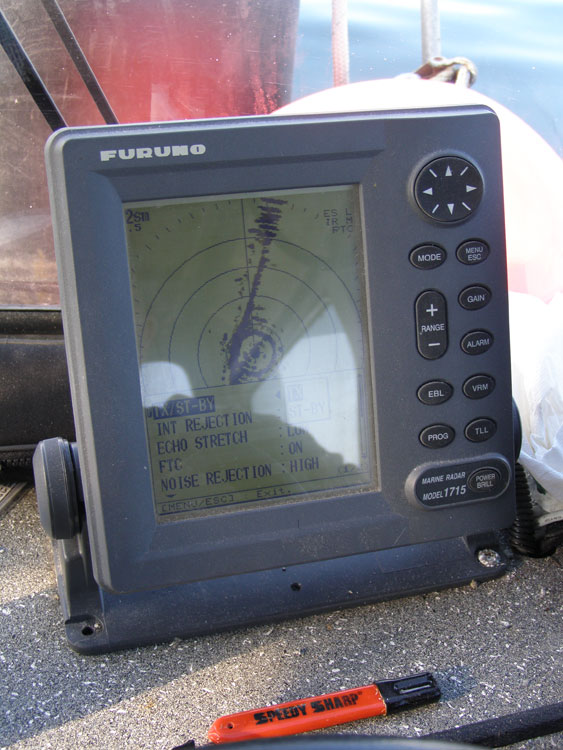 Koffler Bay Bee For Sale