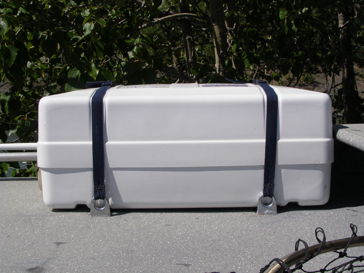 Koffler Bay Bee For Sale