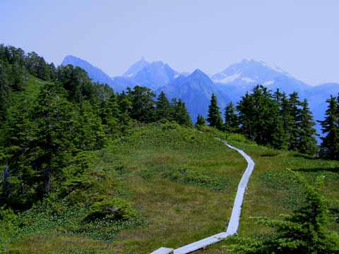 Sitka Bay Adventure Lodge Home Page